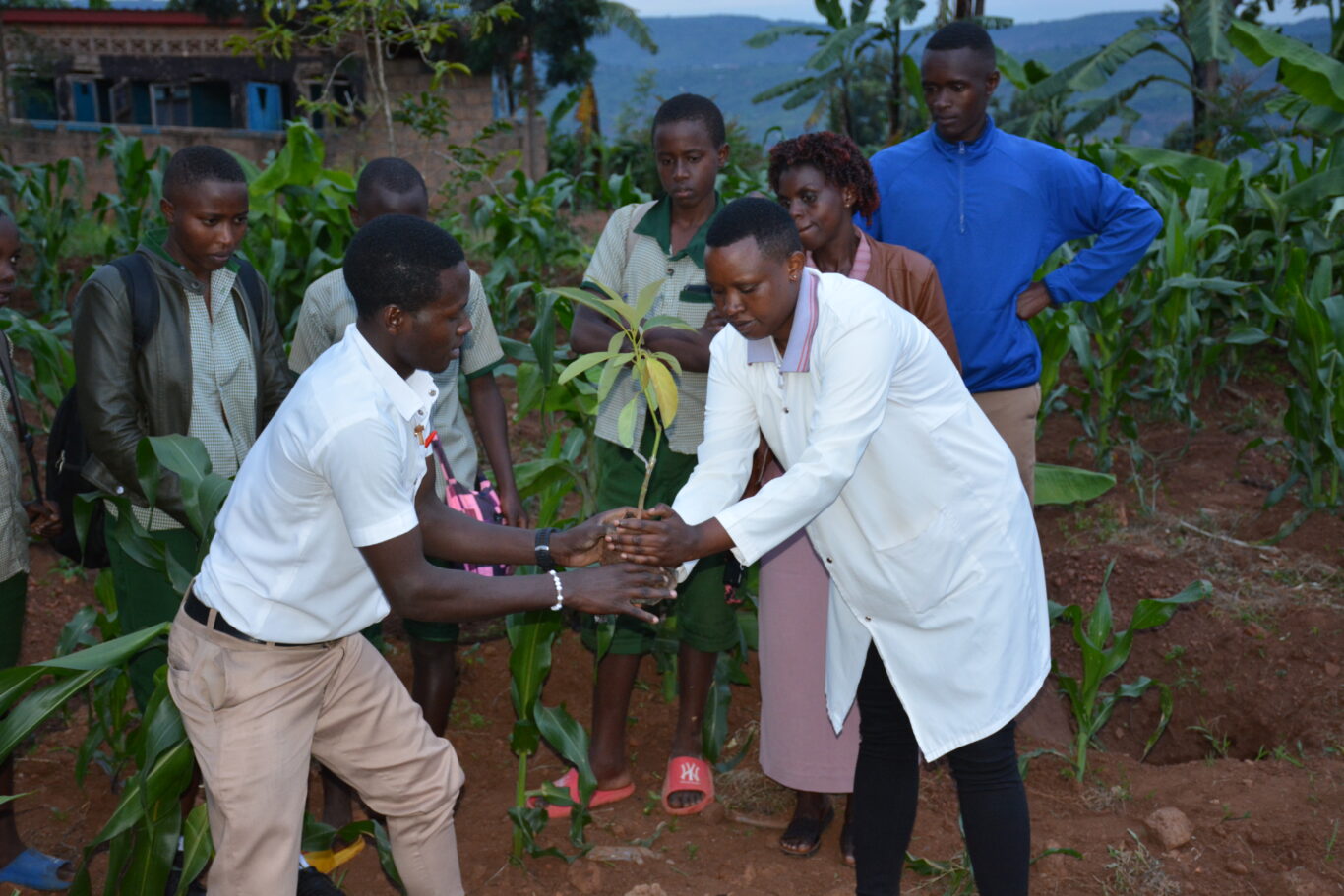 Jesuit Missions — The international mission and development ...